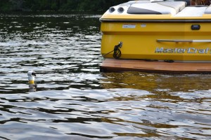 Best Sandbar Anchor for Boats – AugAnchor | Made in USA